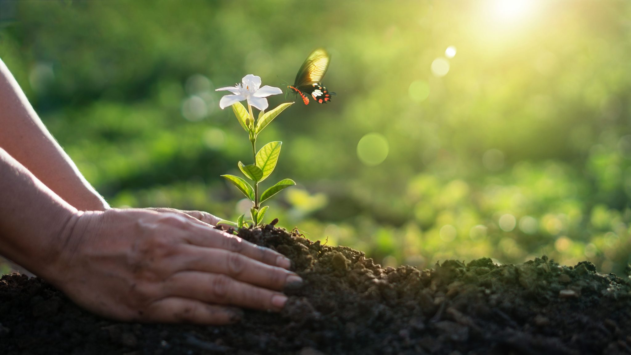 A Prayer for World Environment Day - Uniting Church Western Australia